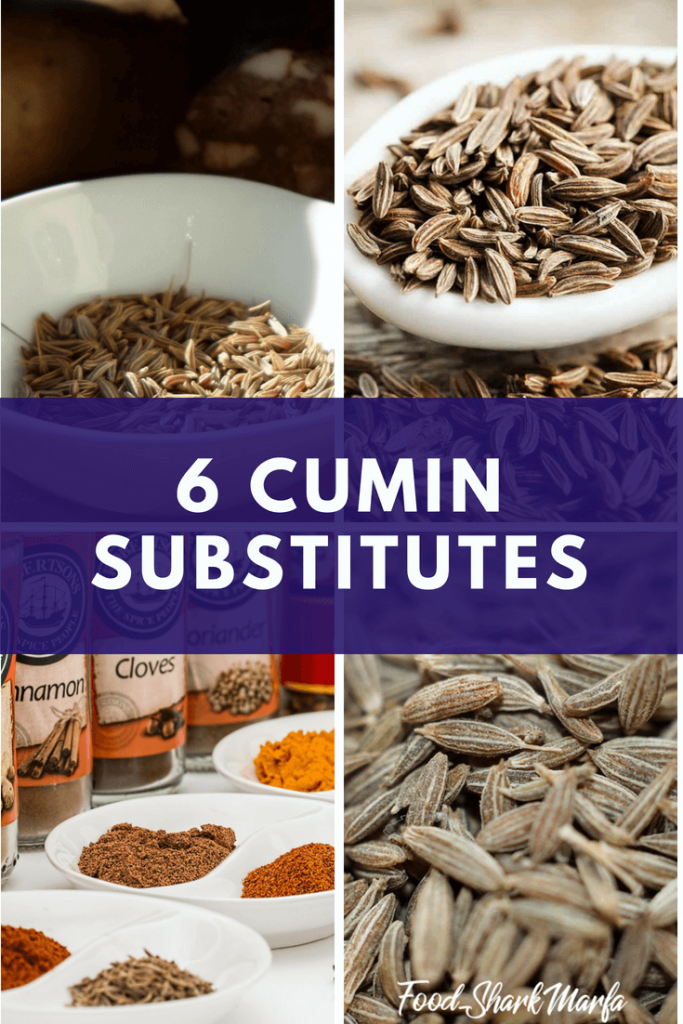 The 6 Cumin Substitute Choices For Every Situation - Food Shark Marfa
