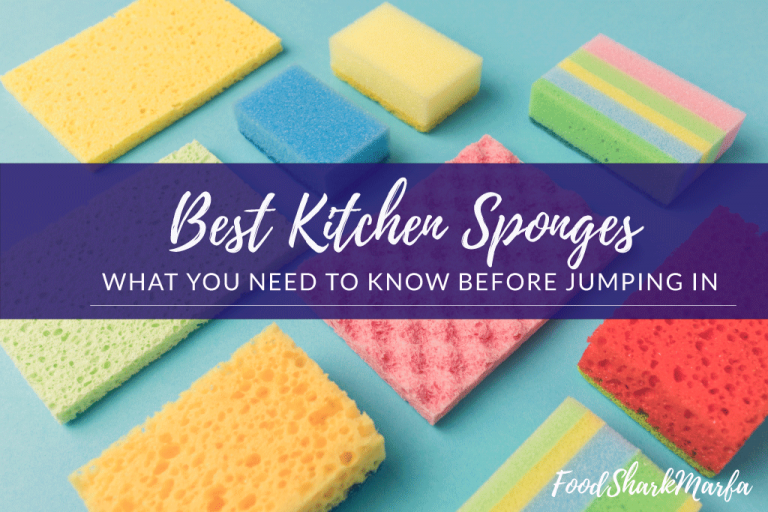 The 10 Best Kitchen Sponges Picks for Easier Dishwashing - Food Shark Marfa