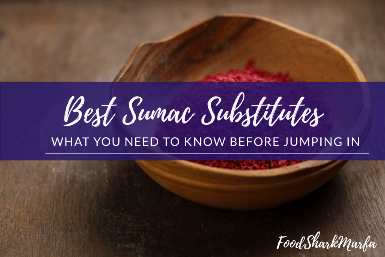 The 7 Best Sumac Substitutes - Food Shark Marfa