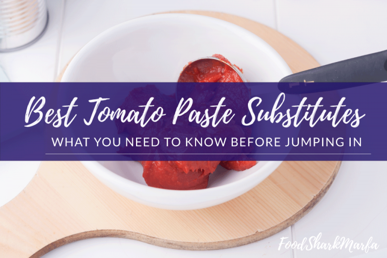 The 7 Best Tomato Paste Substitutes - Food Shark Marfa