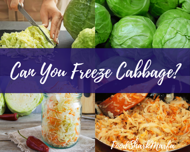 Can You Freeze Cabbage – Yes, And Here’s How to Do It - Food Shark Marfa