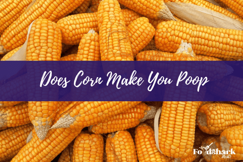 Does Corn Make You Poop? Surprising Facts! - Food Shark Marfa