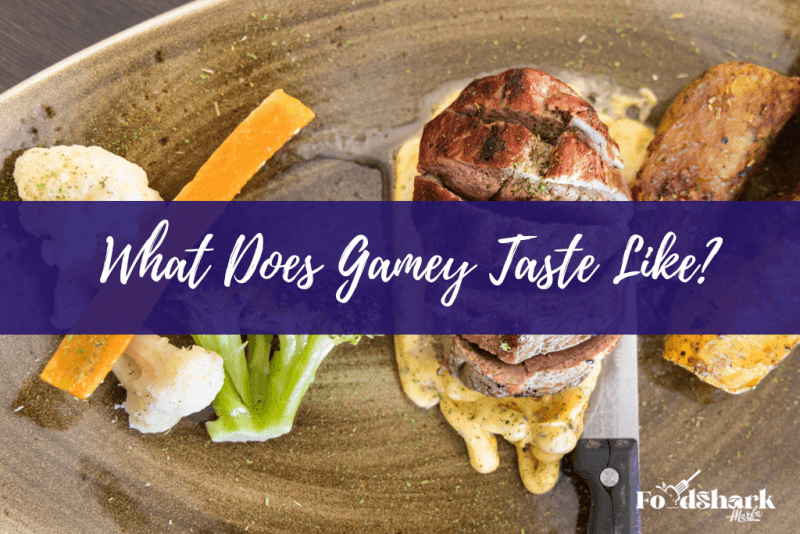 What Does Gamey Taste Like? - Food Shark Marfa