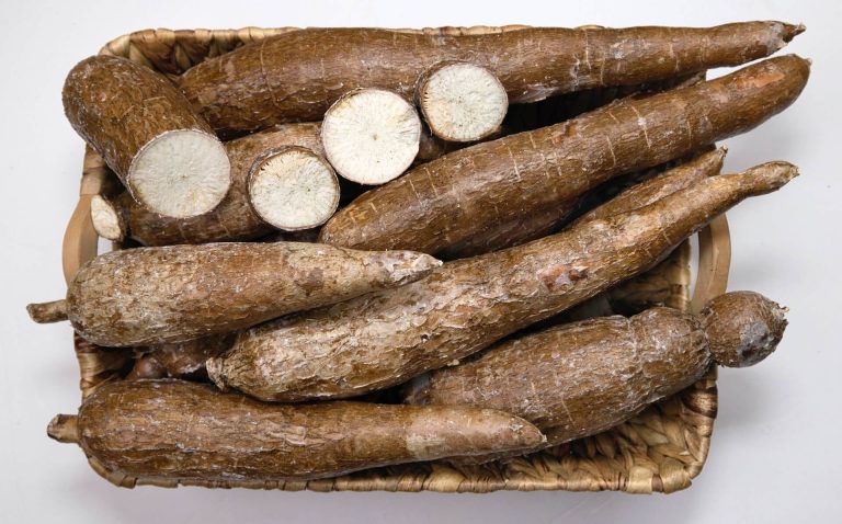 Cassava Vs. Potato: Which is better? - Food Shark Marfa