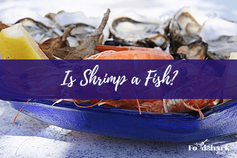 Is Shrimp a Fish? Debunking the Seafood Myth - Food Shark Marfa