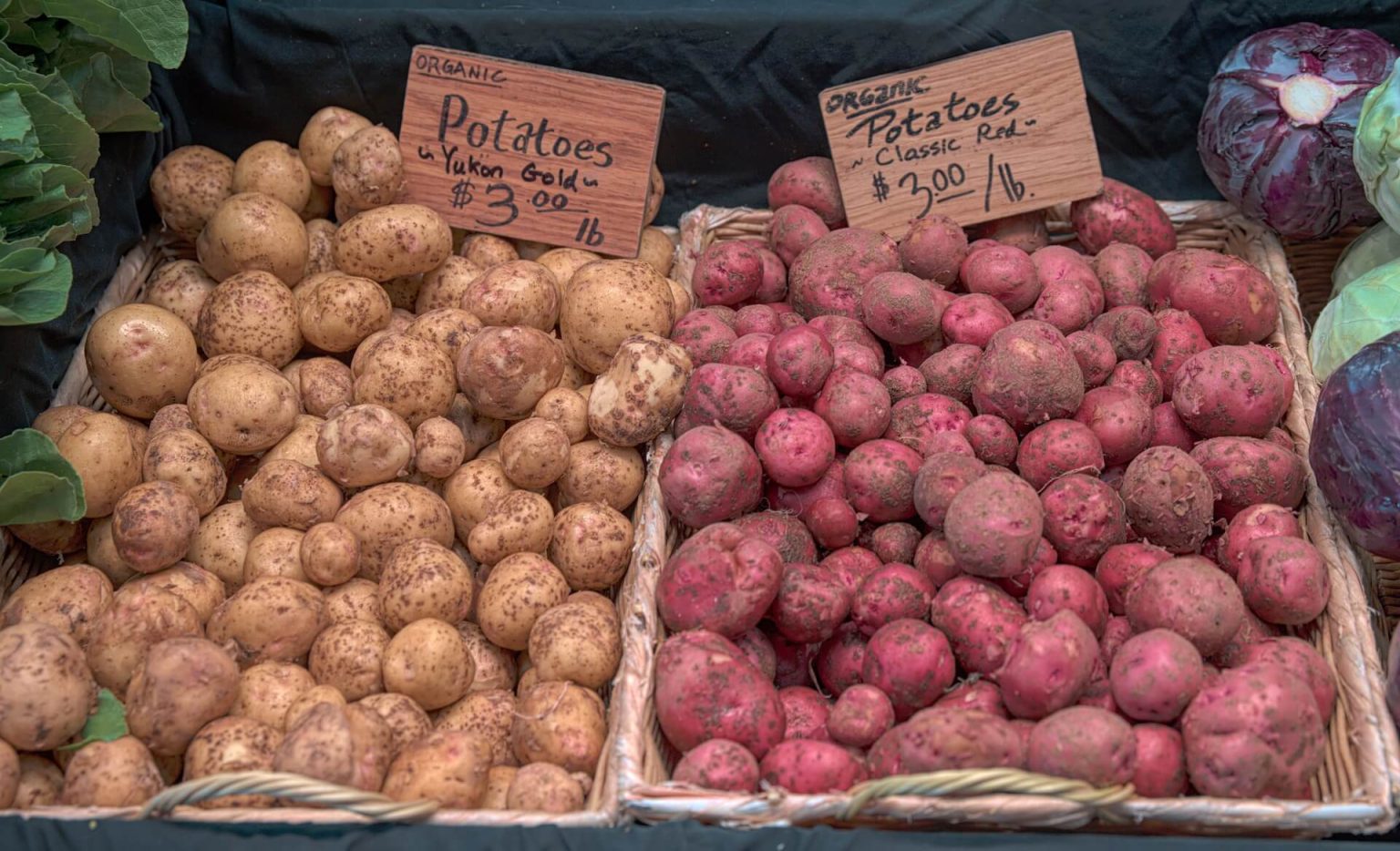 Red Potatoes vs. Russet Potatoes - Food Shark Marfa